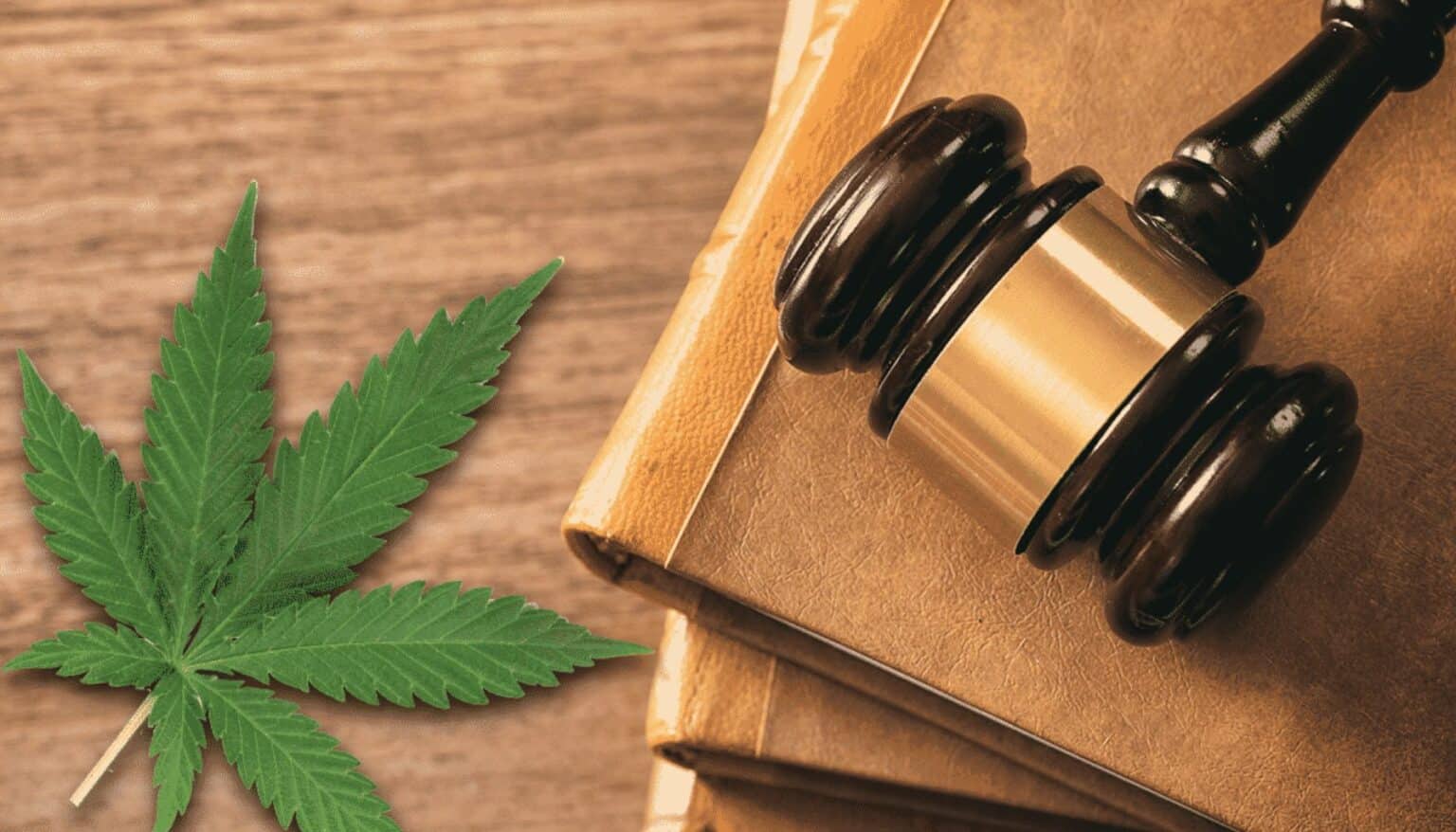 How to Get a CBD License in 2025: A State-by-State Breakdown ...