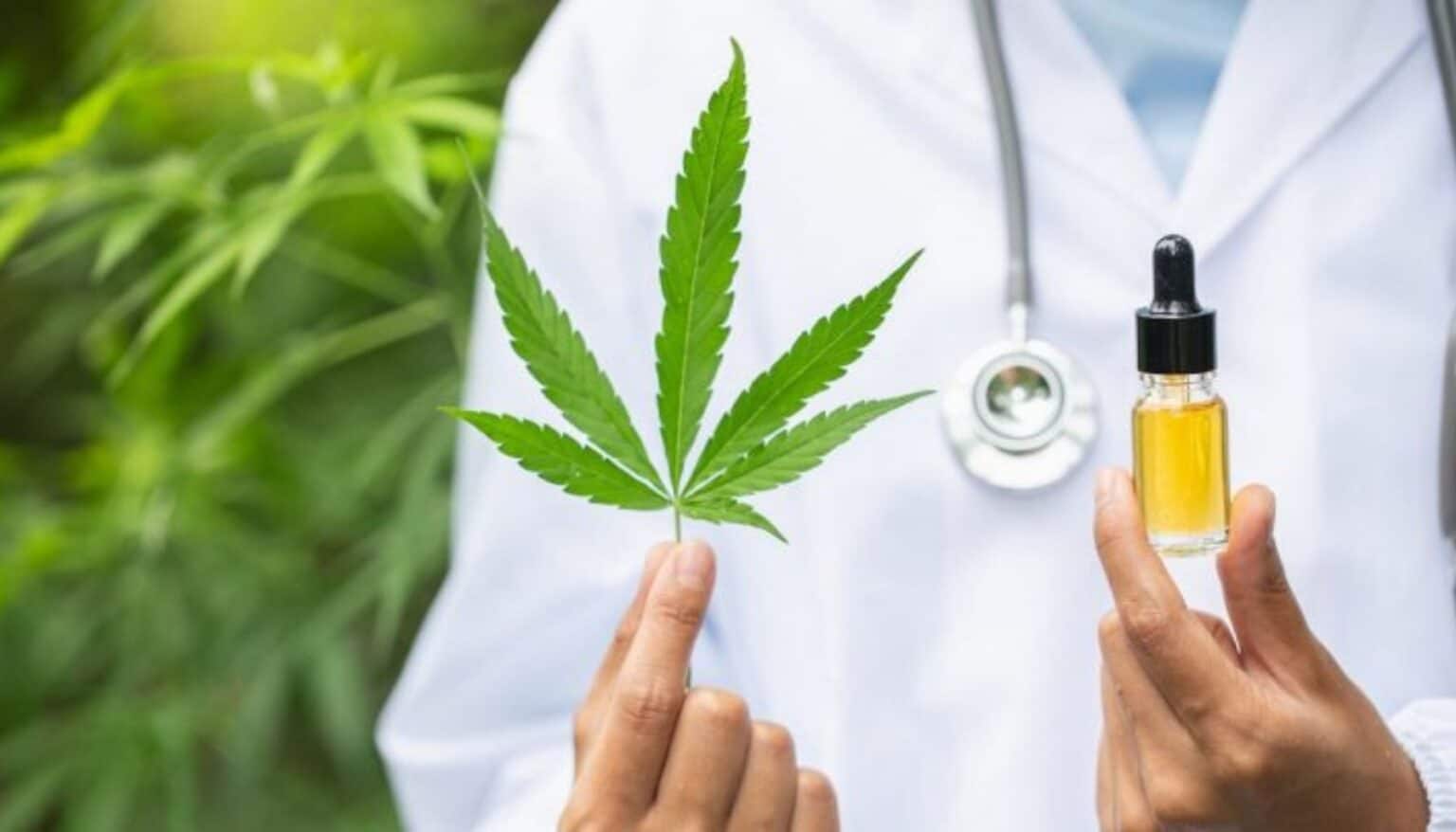 How to Get a CBD License in 2025: A State-by-State Breakdown ...